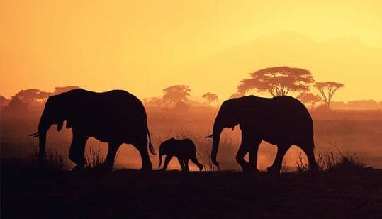 Best Ecotour Odisha – Explore Beautiful Nature & Wildlife